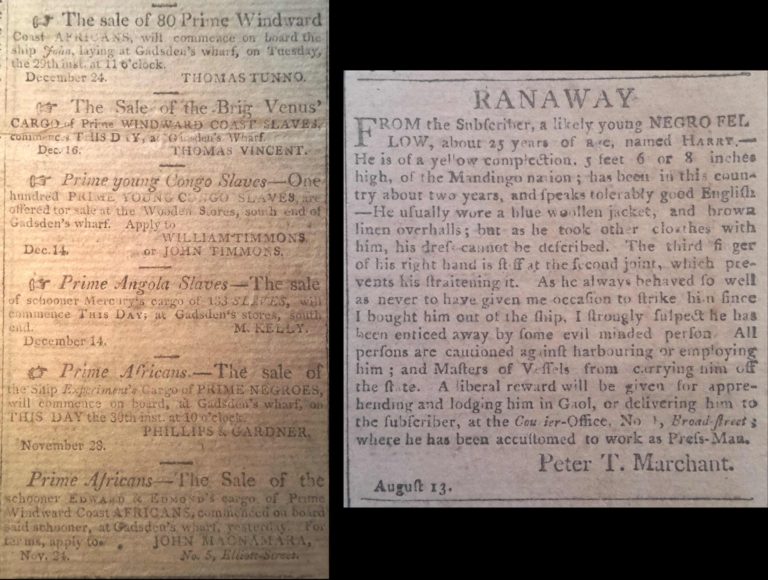 Slavery & Abolition | Mitchell Collection of African American History
