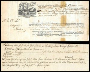 Slavery & Abolition | Mitchell Collection of African American History